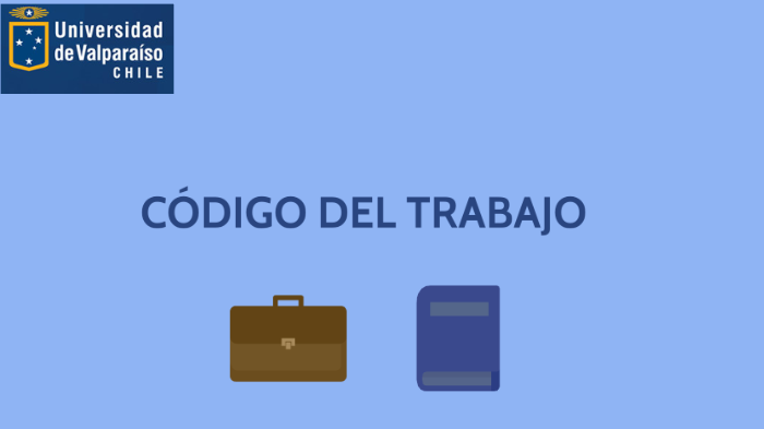 Código Cami by Cami Palacios on Prezi