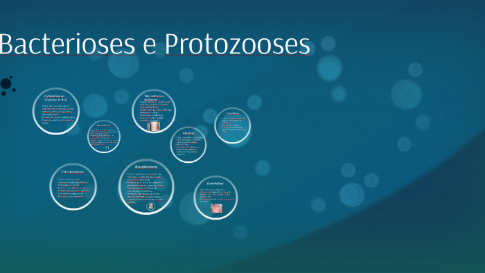 Leptospirose ou Síndrome de Weil by Camila Milano on Prezi