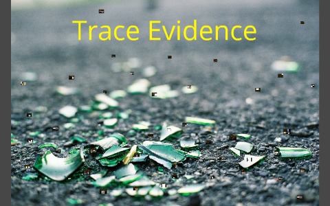 Forensics: Trace Evidence by Paul Dimmer on Prezi