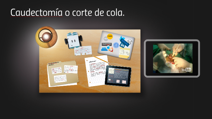 Caudectomía by Alicia Estévez on Prezi