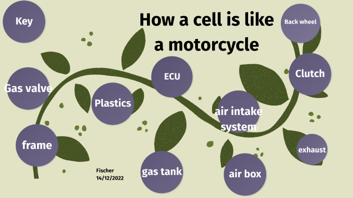How a cell is like a car. Fischer Travis cell analogy. by Fischer ...
