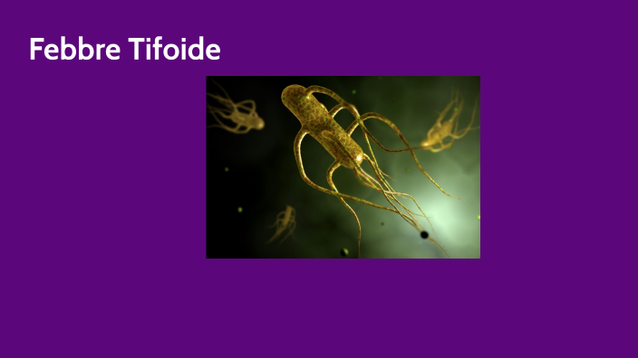 Febbre Tifoide by Edoardo Patanè on Prezi