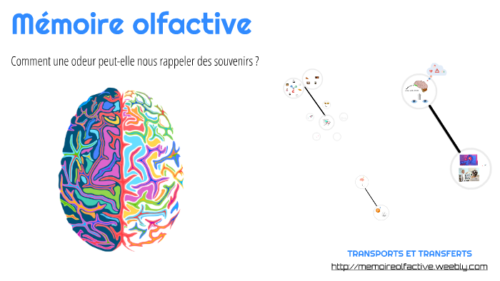 Mémoire olfactive by Nour Oudhen on Prezi