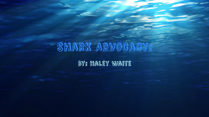 Shark Advocacy: by Haley Waite on Prezi