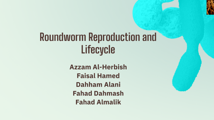 Roundworm Reproduction and Lifecycle by عزام H on Prezi