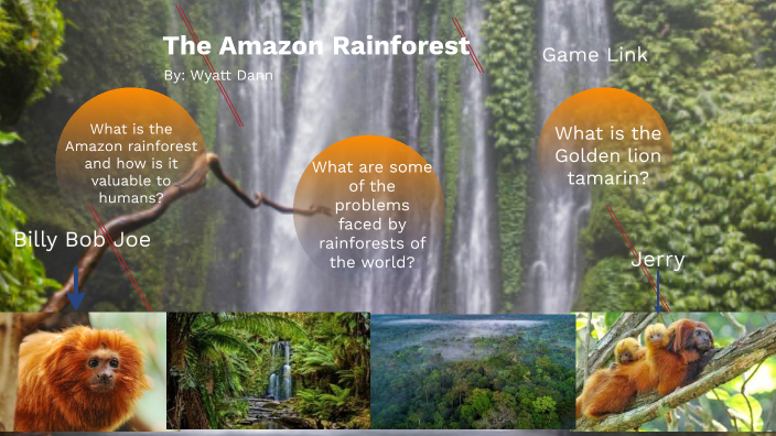 The Amazon Rainforest by Student Wyatt Dann on Prezi