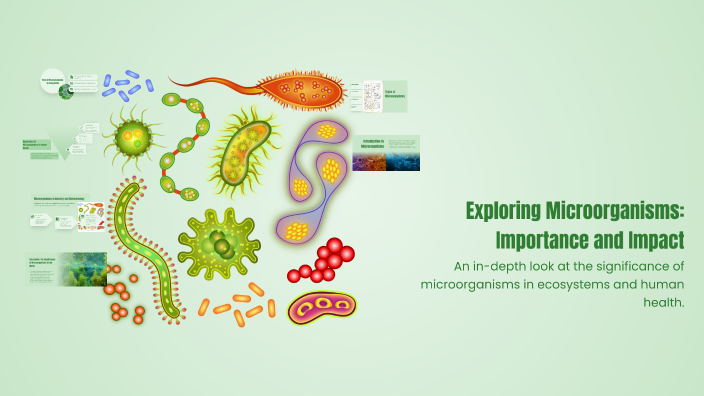 Exploring Microorganisms: Importance and Impact by RR Bhama on Prezi