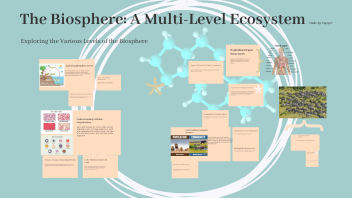 The Levels of the Biosphere by Myzyer Washington on Prezi