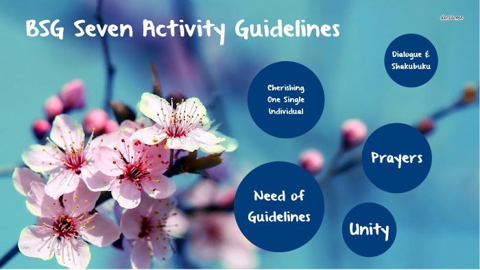 BSG 7 activity guidelines 2017 by ss ss on Prezi