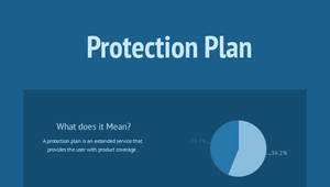 Protection Plan by Patrick McCuen on Prezi Design