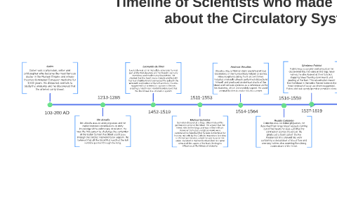 Circulatory system Discoveries by judith tarrant on Prezi