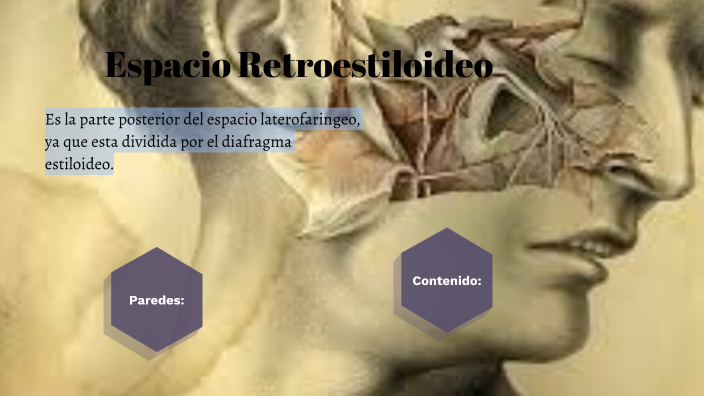 REGION RETROESTILOIDEA by Luucii Sack on Prezi