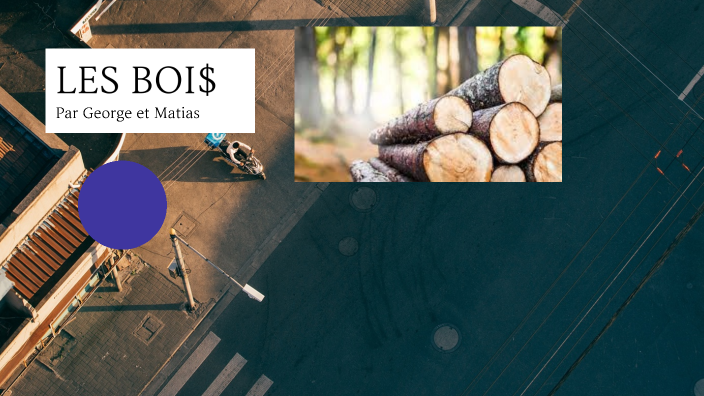 Les Bois by George Fahed on Prezi