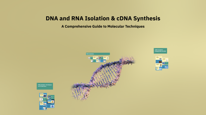 DNA and RNA Isolation & cDNA Synthesis by Nur Çeven on Prezi
