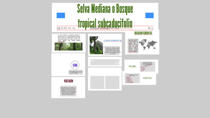 Selva Mediana o Bosque tropical subcaducifolio by Max Barcenaz on Prezi