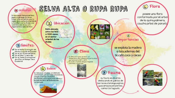 SELVA ALTA O RUPA RUPA by Ana Lizeth Musaja on Prezi