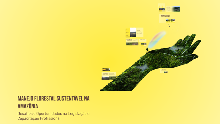 Manejo Florestal Sustentável na Amazônia by Alessandra Marasciulo on Prezi
