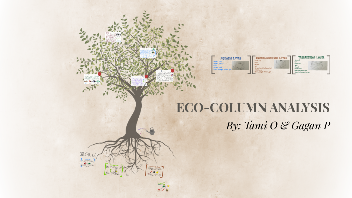 ECOCOLUMN ANALYSIS by Tami Oguntona on Prezi