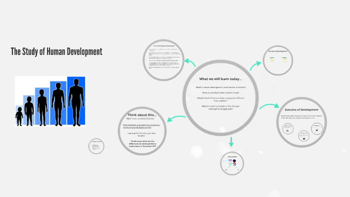 The Study of Human Development by natacha cesar on Prezi