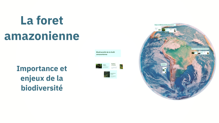 La foret amazonienne by Dara Mansor Wahid Al-Shamri on Prezi