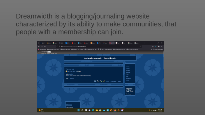 Pros and Cons of Dreamwidth by G C