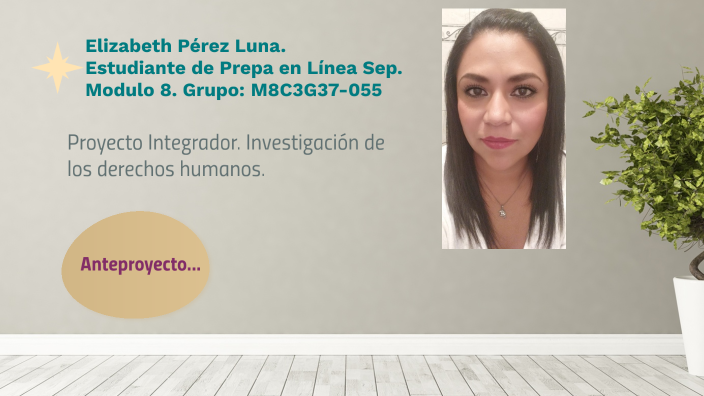 Proyecto Integrador. Modulo 8 Por: Elizabeth Pérez Luna. by Elizabeth ...