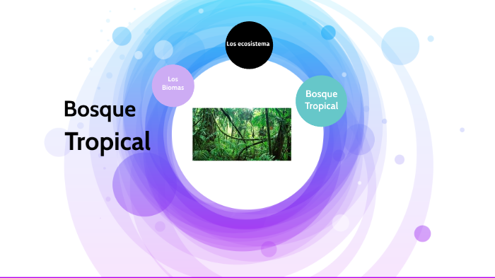 los ecosistemas y biomas del mundo by Isabella Mejia on Prezi