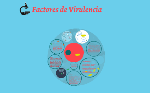Factores de Virulencia by Brenda Ortega on Prezi