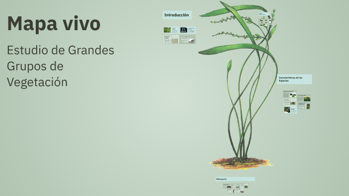 Mapa vivo by Diego Ramón Felipe Romero on Prezi