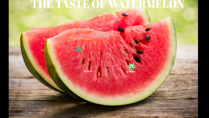 THE TASTE OF WATERMELOn by Taylor Wilcox on Prezi