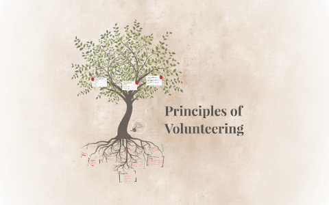 Principles of Volunteering by chris wade on Prezi