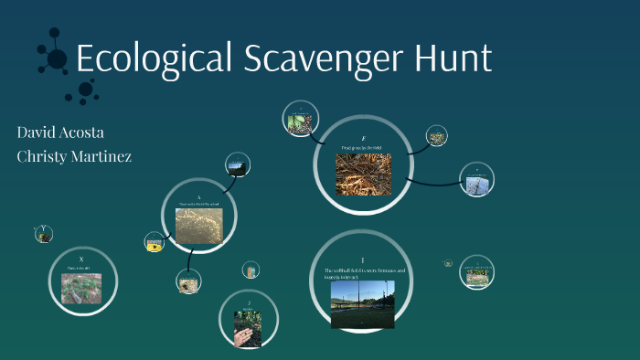 Ecological Scavenger Hunt by David Acosta on Prezi