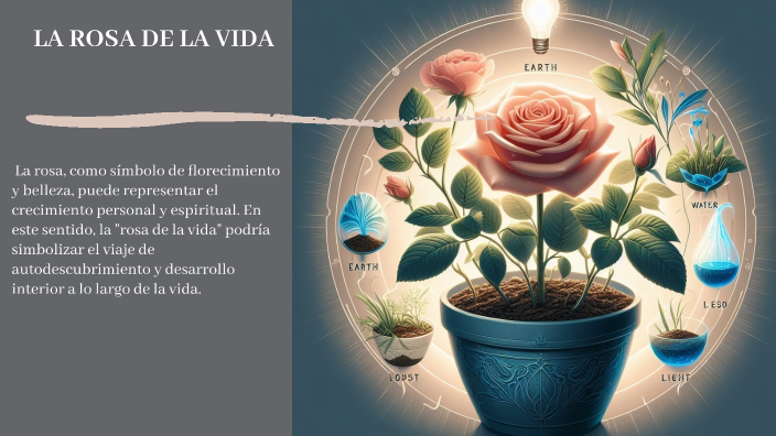 La Rosa de la Vida by Christian Duban Puerta Valencia on Prezi