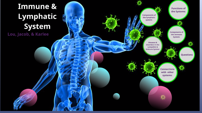 Immune & Lymphatic System by Karlee Hubble on Prezi