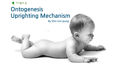 Ontogenesis by Jae-Geun Park on Prezi
