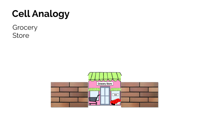 Cell analogy- Grocery Store by Hannah Melander on Prezi