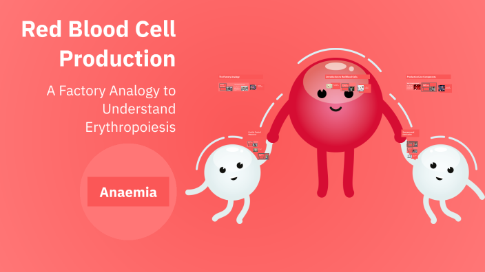 Red Blood Cell Production by Shane Daley on Prezi
