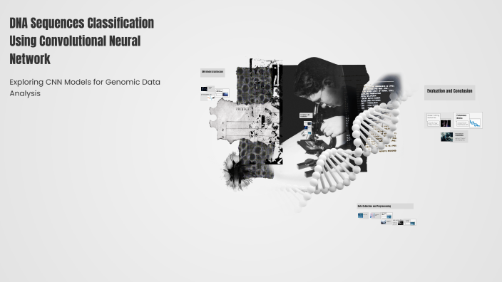 DNA Sequences Classification Using Convolutional Neural Network by ...
