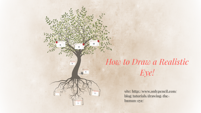 How to Draw Realistic Drawings by Demitra Patsalos on Prezi