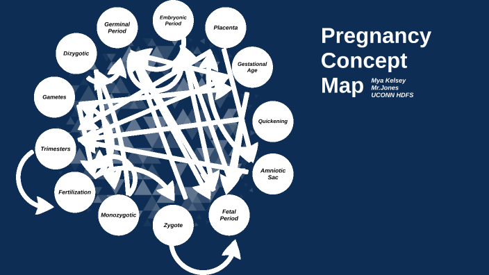 Pregnancy Concept Map by Mya Kelsey on Prezi