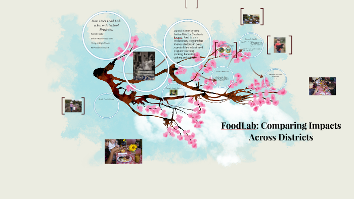 FoodLab: Comparing Impacts Across Districts by Kristen Lindstrom on Prezi