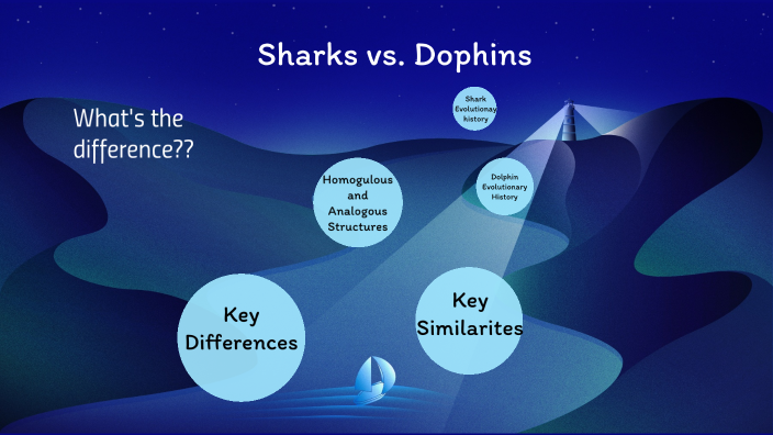 Sharks vs. Dolphins by Jacob Cardoza on Prezi