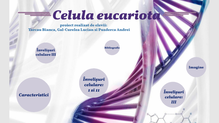 proiect biologie- celula eucariota by Tarcau Bianca on Prezi