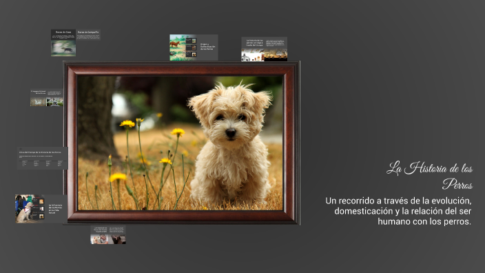 La Historia de los Perros by KENNETH GRANADOS on Prezi