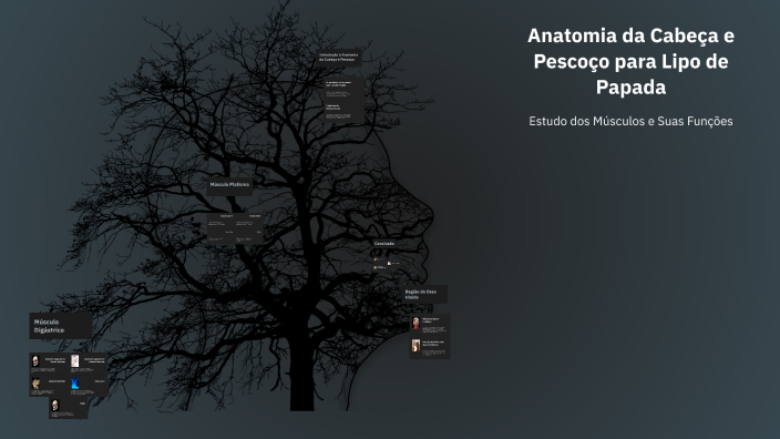 Anatomia da Cabeça e Pescoço para Lipo de Papada by Thayna Fagundes ...