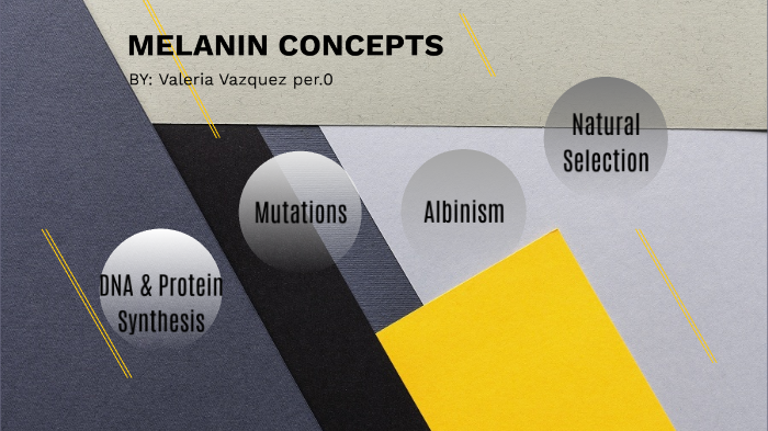 Melanin Concepts Map by Valeria Vazquez