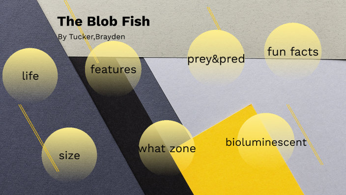 deep sea blob fish by tucker harris on Prezi