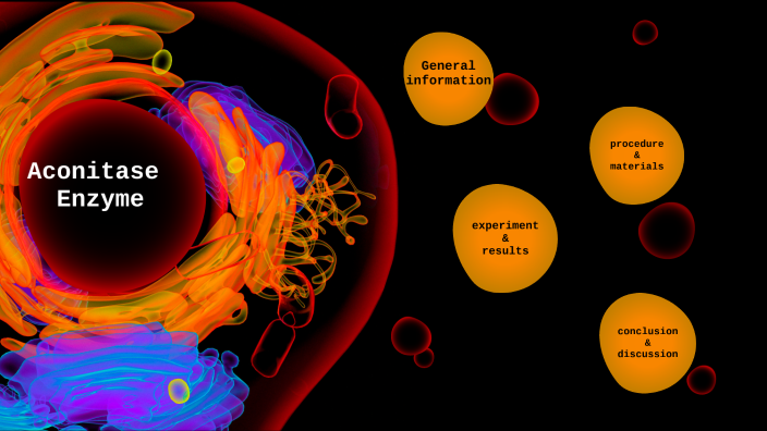 Aconitase Enzyme by Lily McClafferty on Prezi