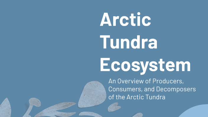 Arctic Tundra Ecosystem by Alejandra Gomez-AGuilar on Prezi