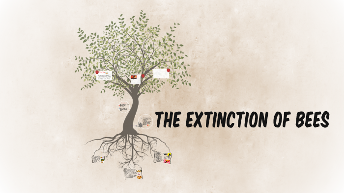 The Extinction of Bees by Lorena Hornos Mar on Prezi
